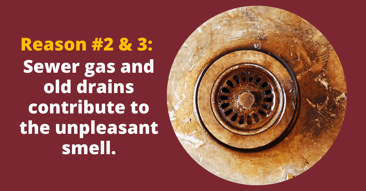 DIY Solutions on How to Get Rid of Smelly Drains for Good
